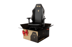 Secretlab Premium PC Mount | Secretlab US