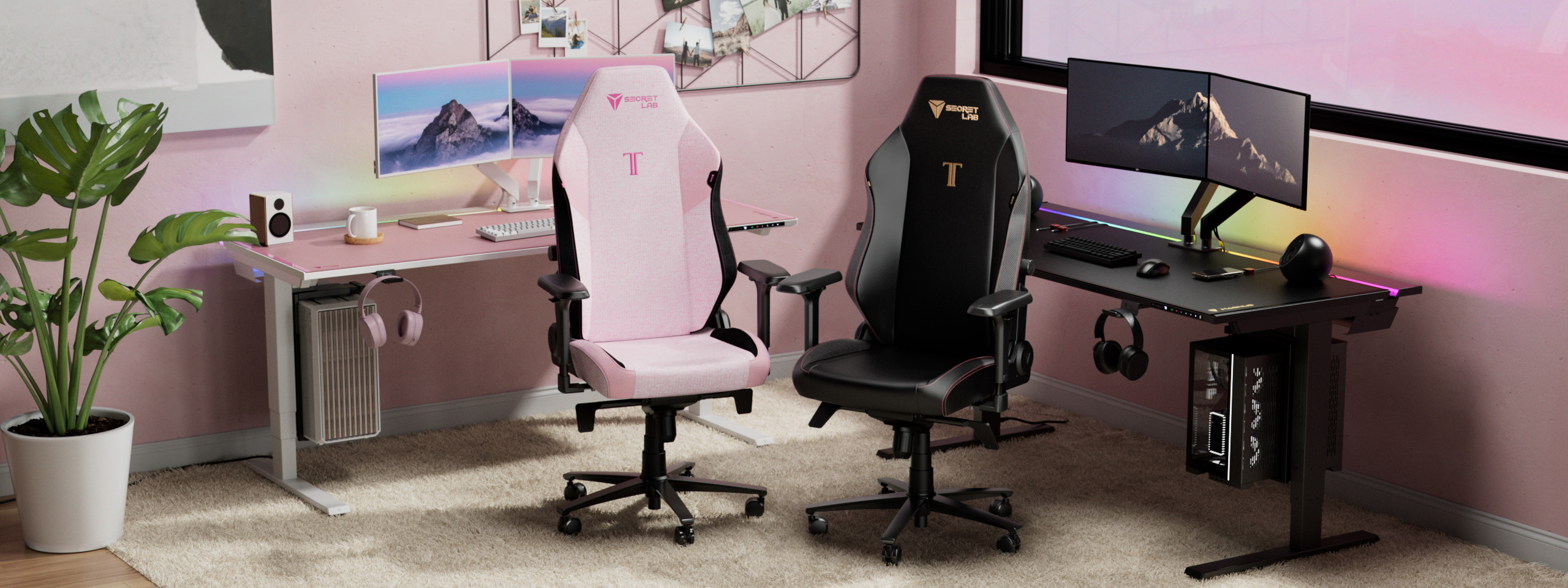 Secretlab Gaming Chairs & Gaming Desk | Secretlab MY